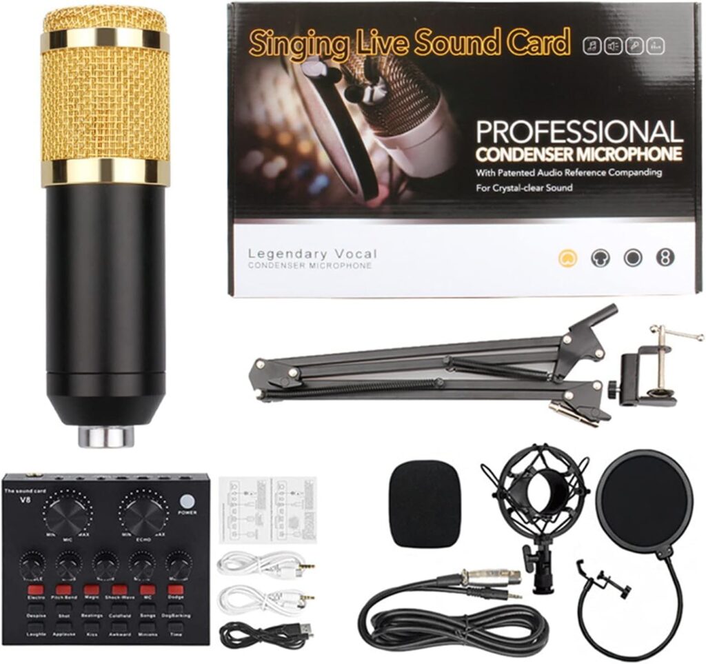 Professional Condenser Microphone with V8 Sound Card • Gadget City
